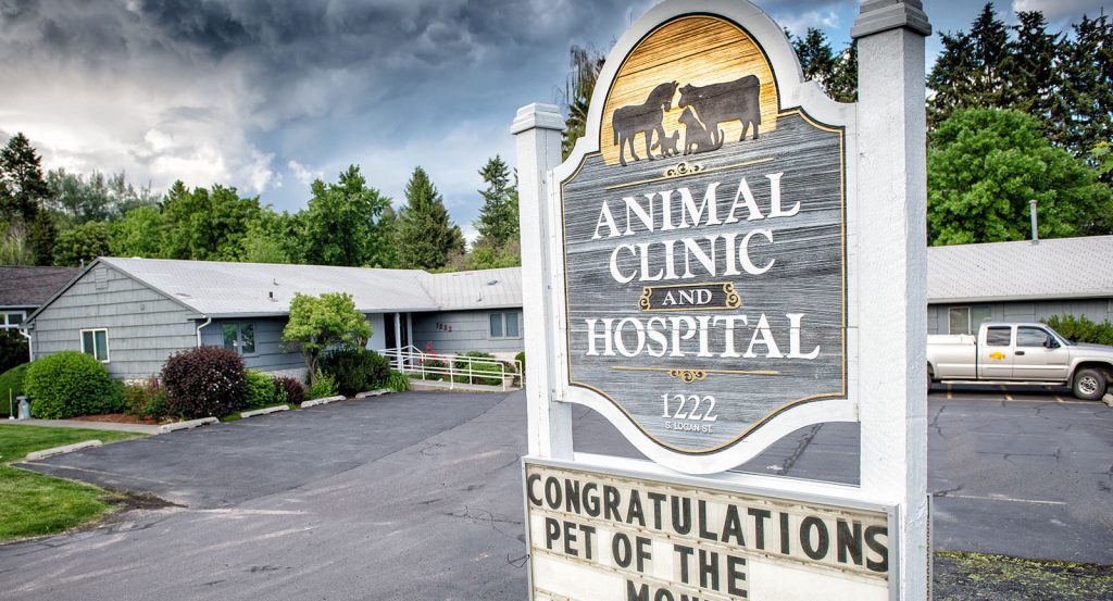 moscow-animal-clinic-veterinary-pullman-palouse-2 - Animal Clinic ...